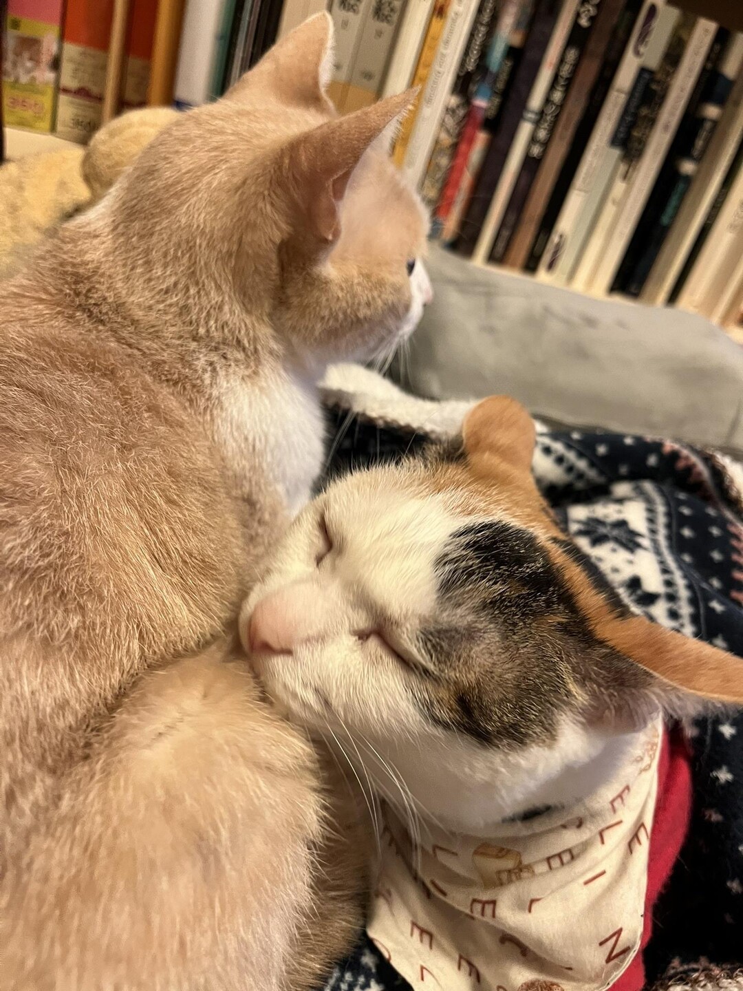 Day7/11 昨日のダメージが抜けず... / junnnnさんのモーメント | YAMAP / ヤマップ