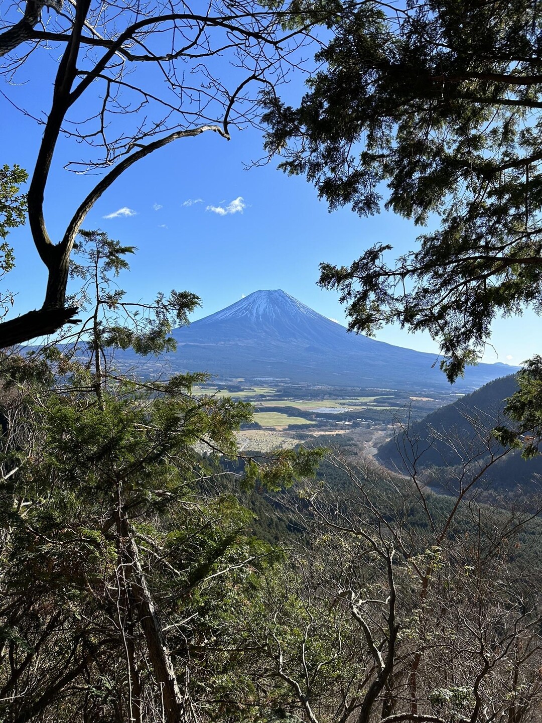 毛無山（三角点） / nakaekoさんの毛無山・雨ヶ岳・竜ヶ岳の活動データ | YAMAP / ヤマップ