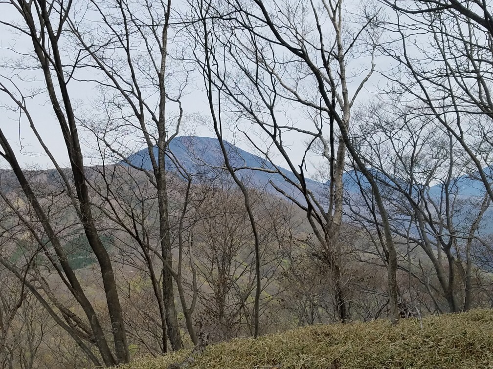 薬師岳・夕日岳・地蔵岳 Catさんの夕日岳・薬師岳の活動データ Yamap ヤマップ