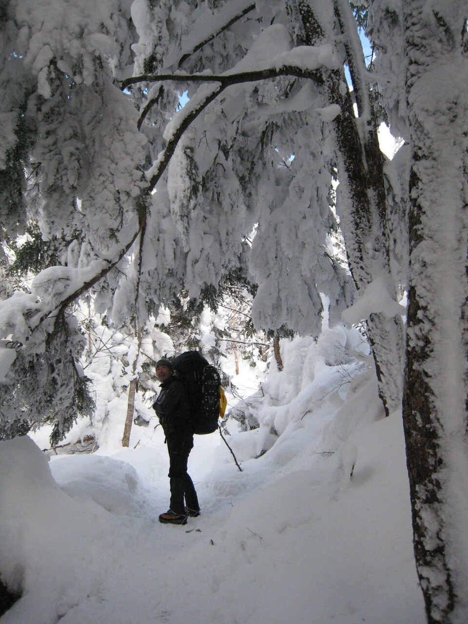 chamokichiのページ | YAMAP / ヤマップ