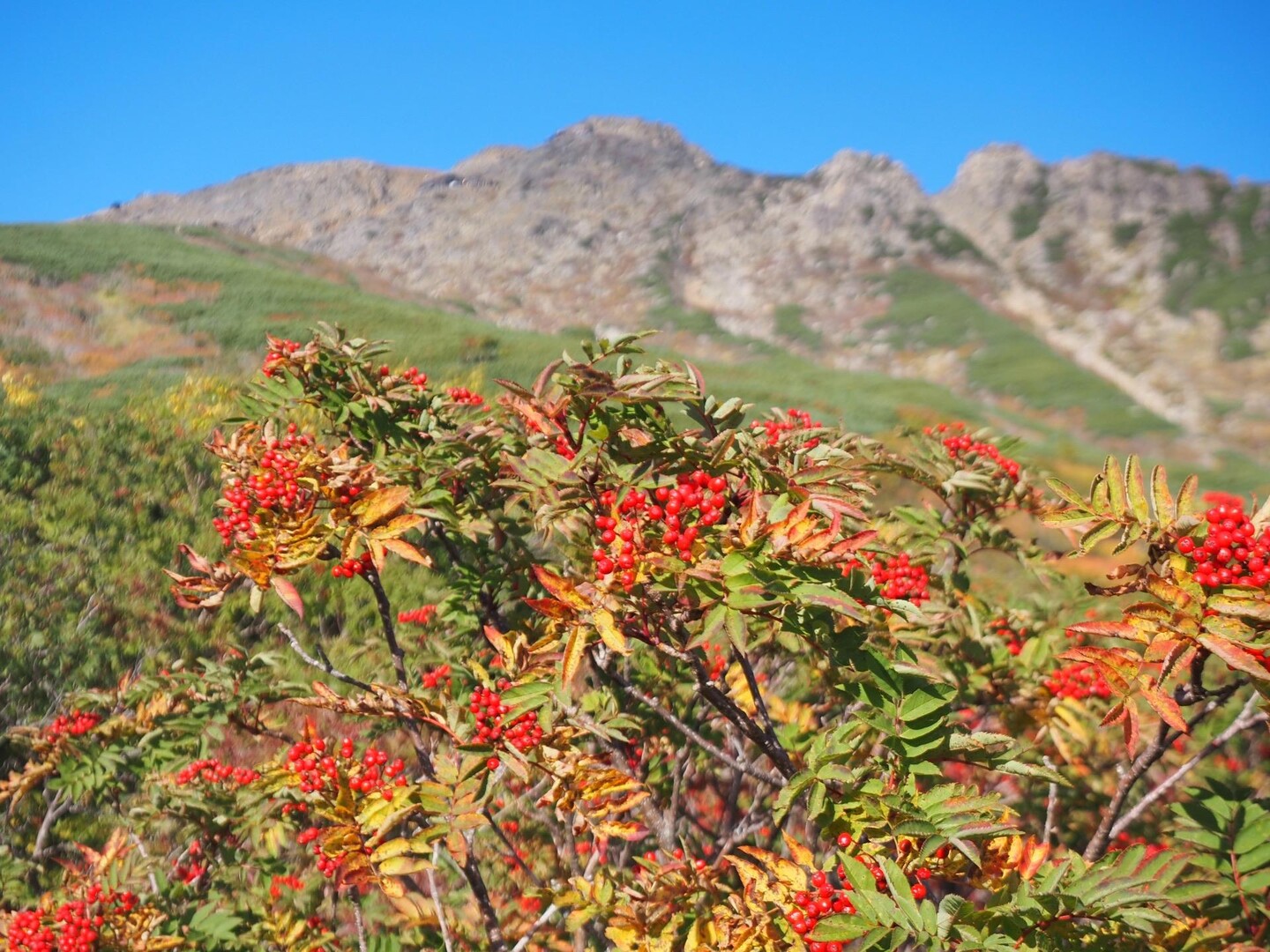 御嶽山（剣ヶ峰）・摩利支天山・飛騨頂上・継子岳・継子Ⅱ峰 / AKIさんの御嶽山・継子岳・摩利支天山の活動データ | YAMAP / ヤマップ