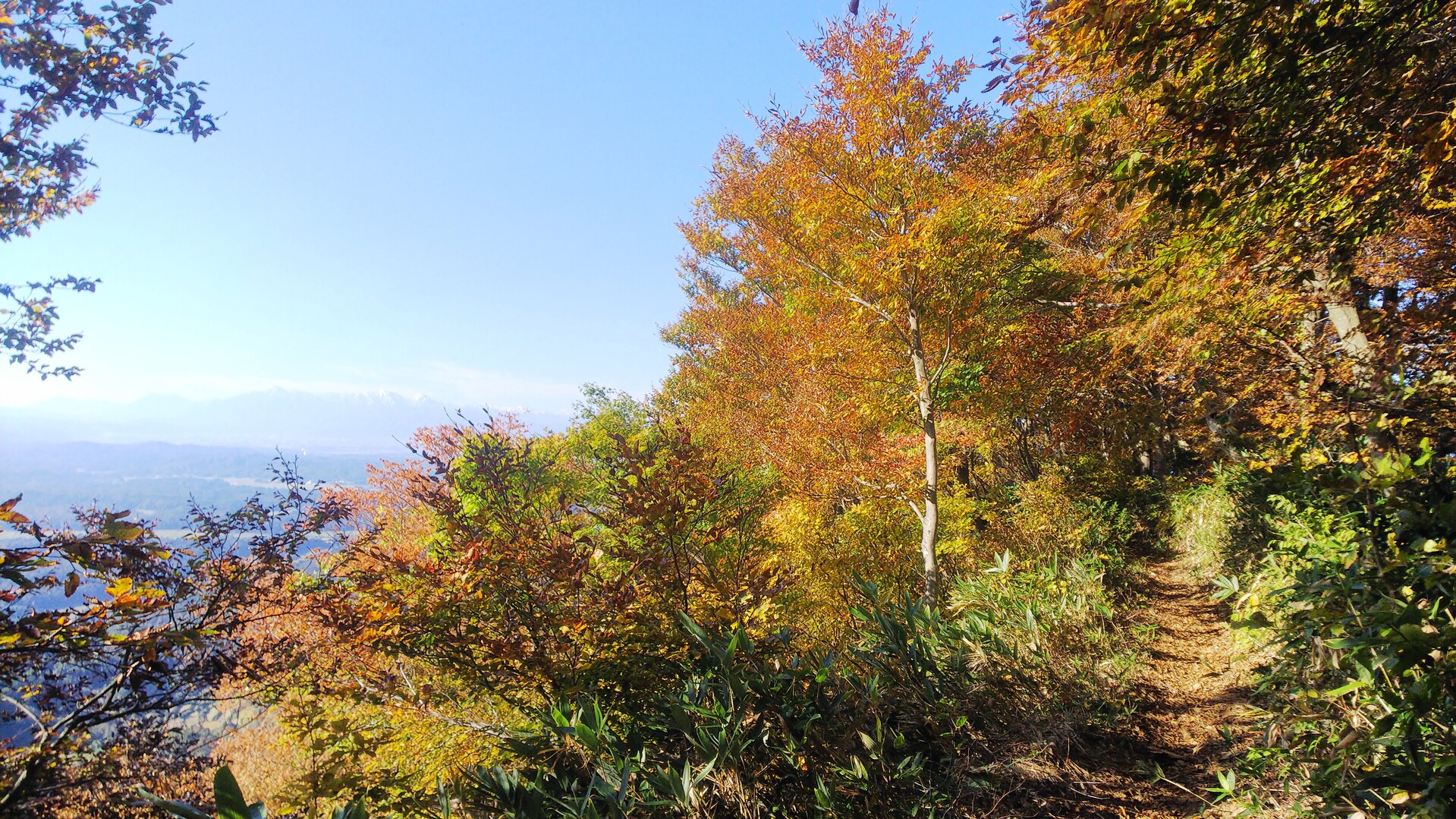 米山 / ma_suさんの米山の活動データ | YAMAP / ヤマップ