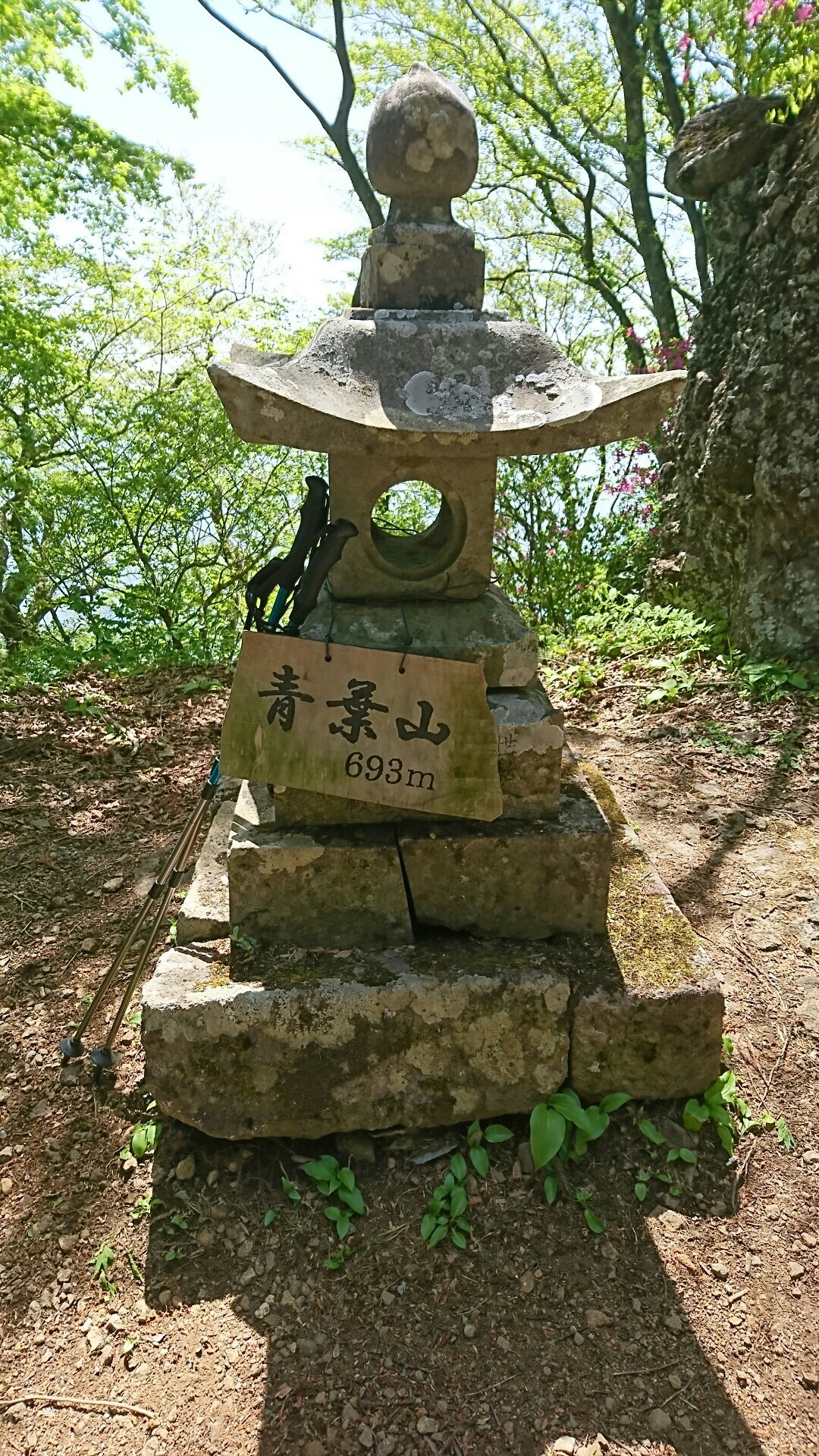 青葉山東峰（693m）西峰（692m） / しろりんさんの青葉山の活動日記 | YAMAP / ヤマップ