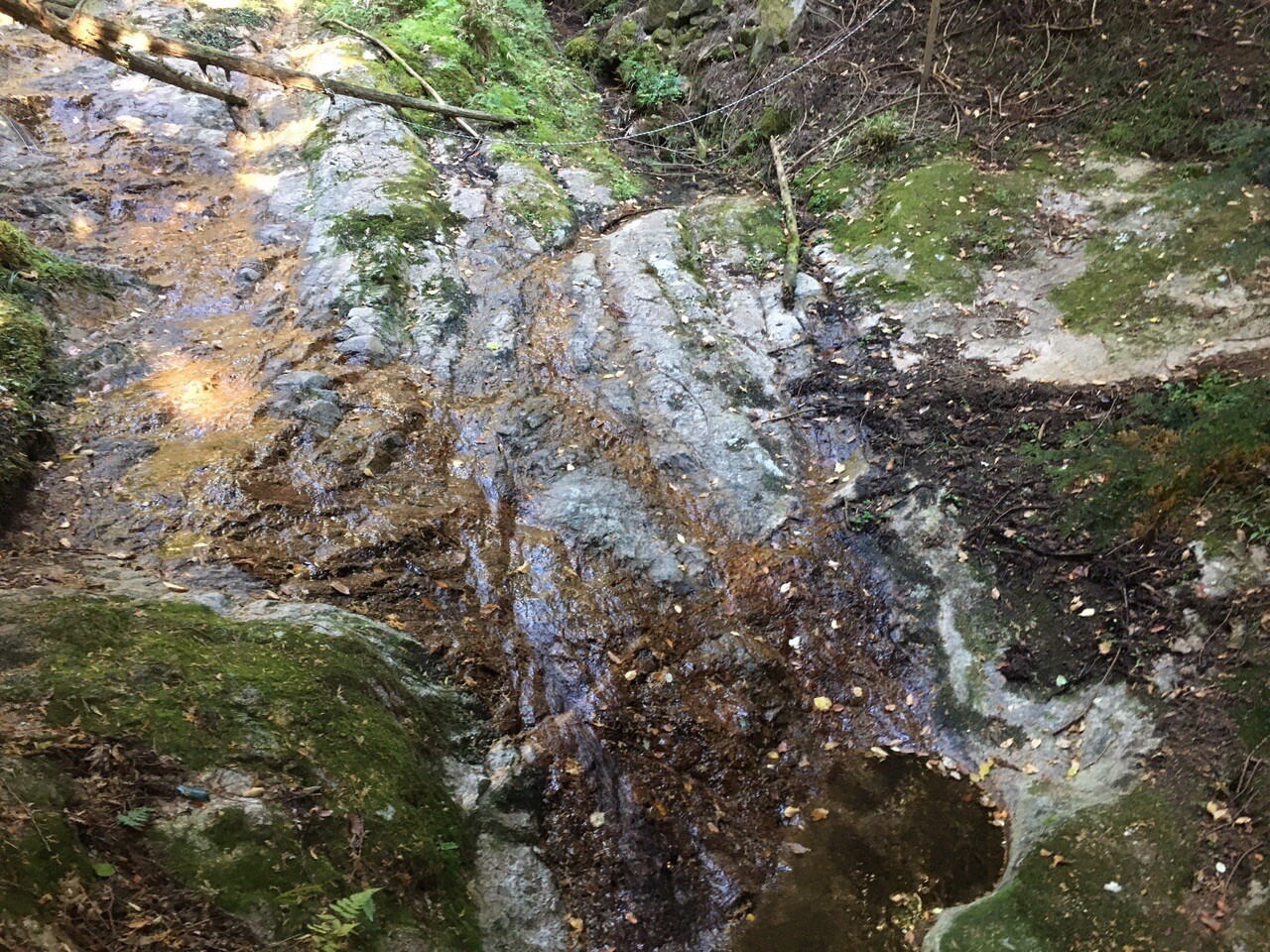 kaz330さんの投稿したフィールドメモ | YAMAP / ヤマップ