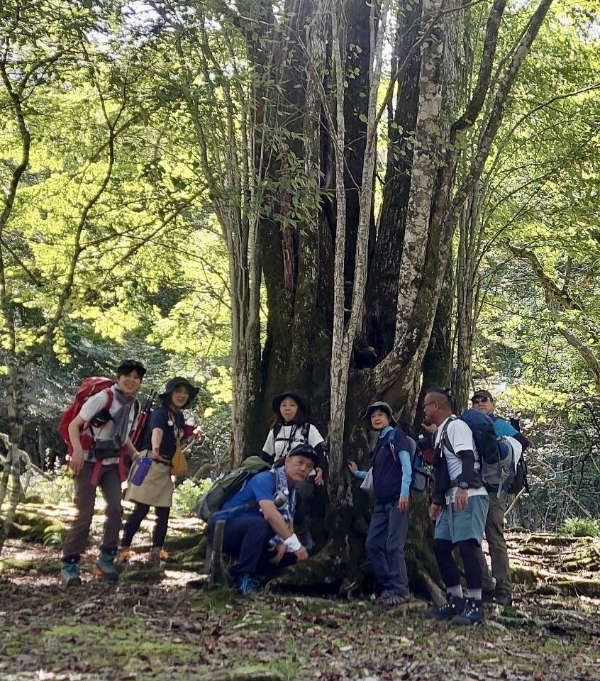 朝明渓谷〜鈴鹿の上高地🌲 / j-montさんの御在所岳（御在所山）・雨乞岳の活動データ | YAMAP / ヤマップ