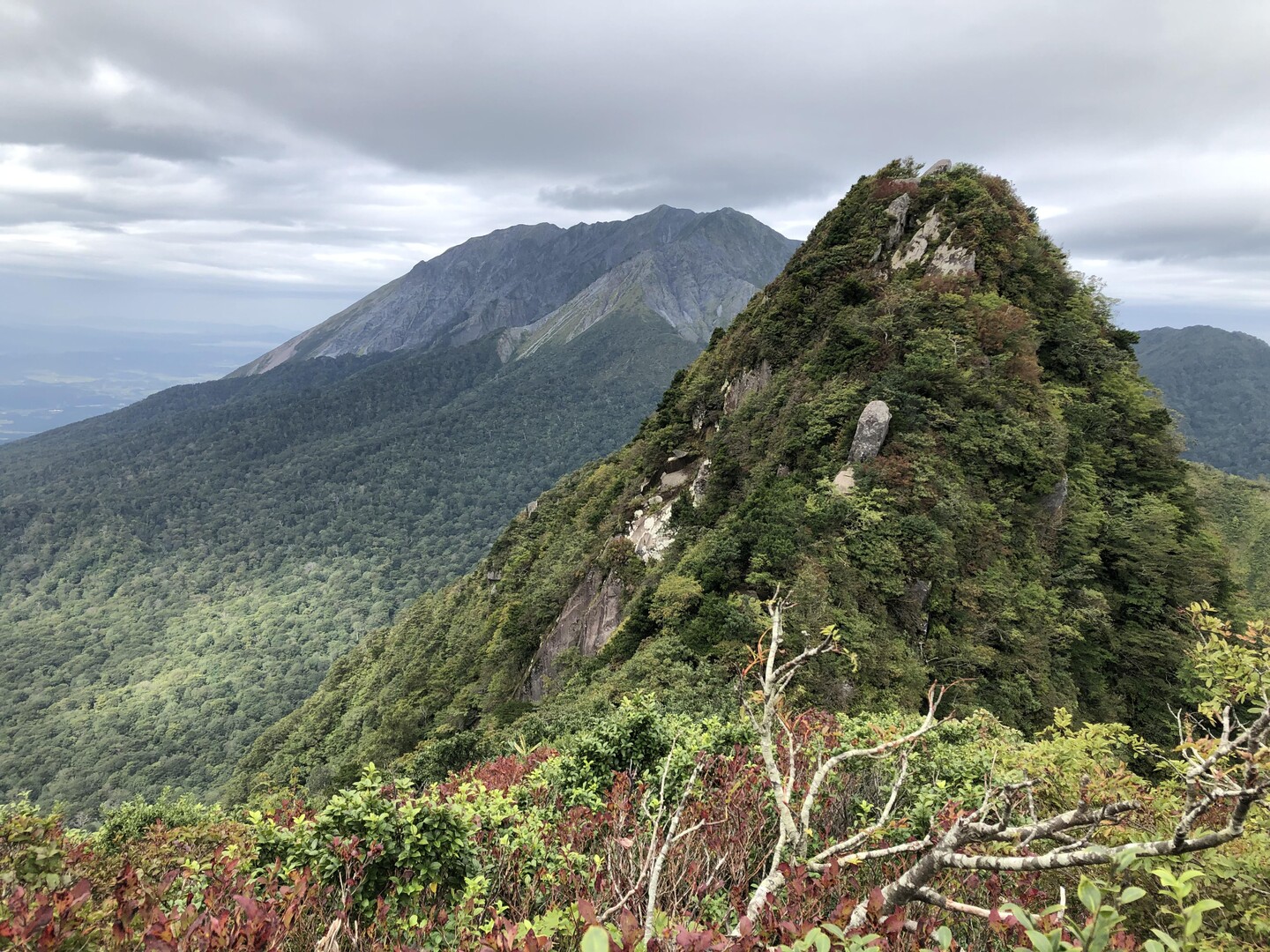 烏ヶ山 / issa_harefutaさんの大山・甲ヶ山・野田ヶ山の活動データ | YAMAP / ヤマップ
