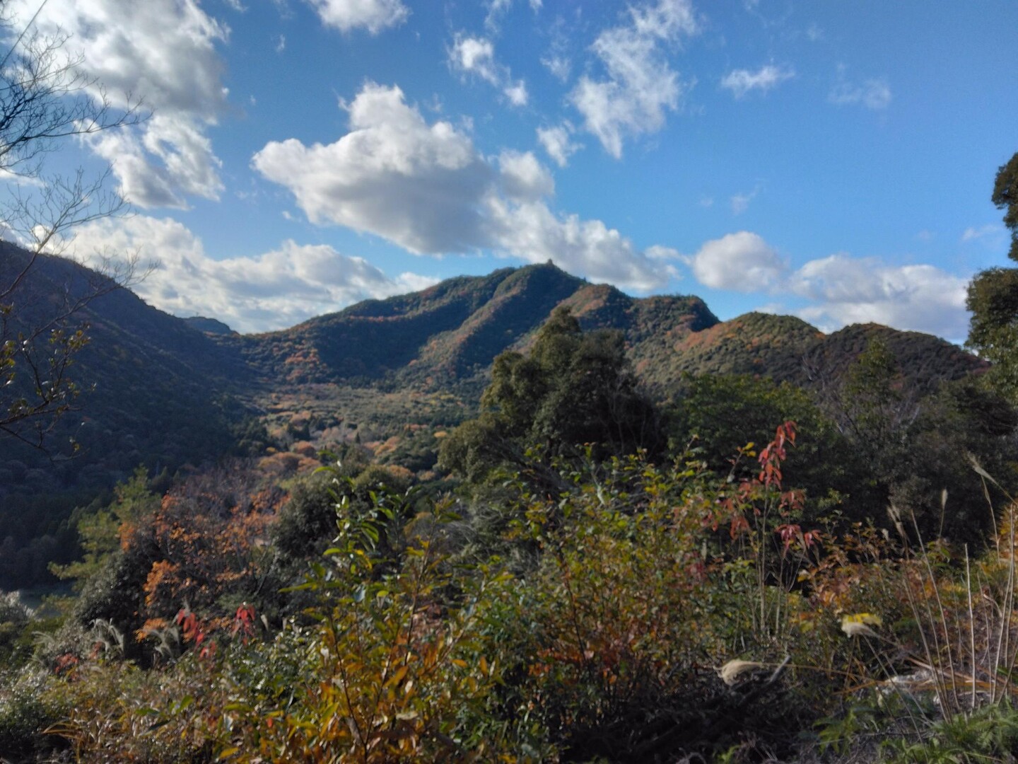 午後の部は西山礼賛 / Kakkoさんの金華山・洞山・舟伏山の活動データ | YAMAP / ヤマップ