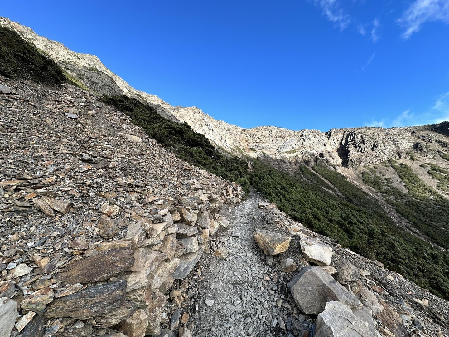 玉山 / Nero-Piさんの玉山の活動データ | YAMAP / ヤマップ