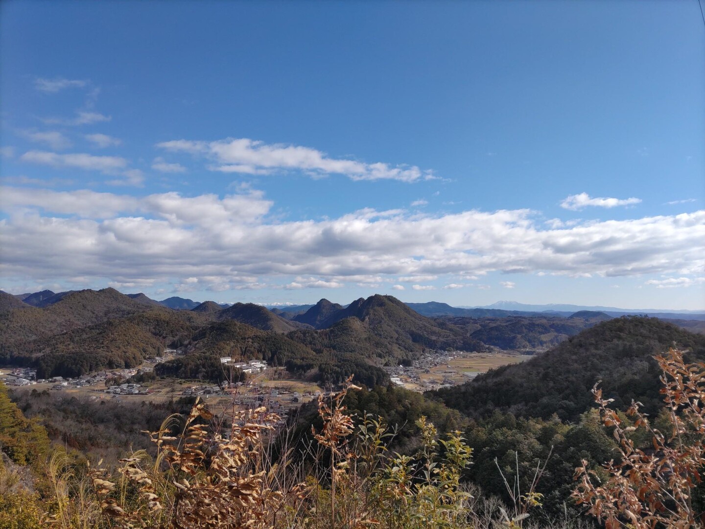 2nd 梨割山〜鉄塔越えて〜 / ぴぐもわさんの梨割山の活動データ | YAMAP / ヤマップ