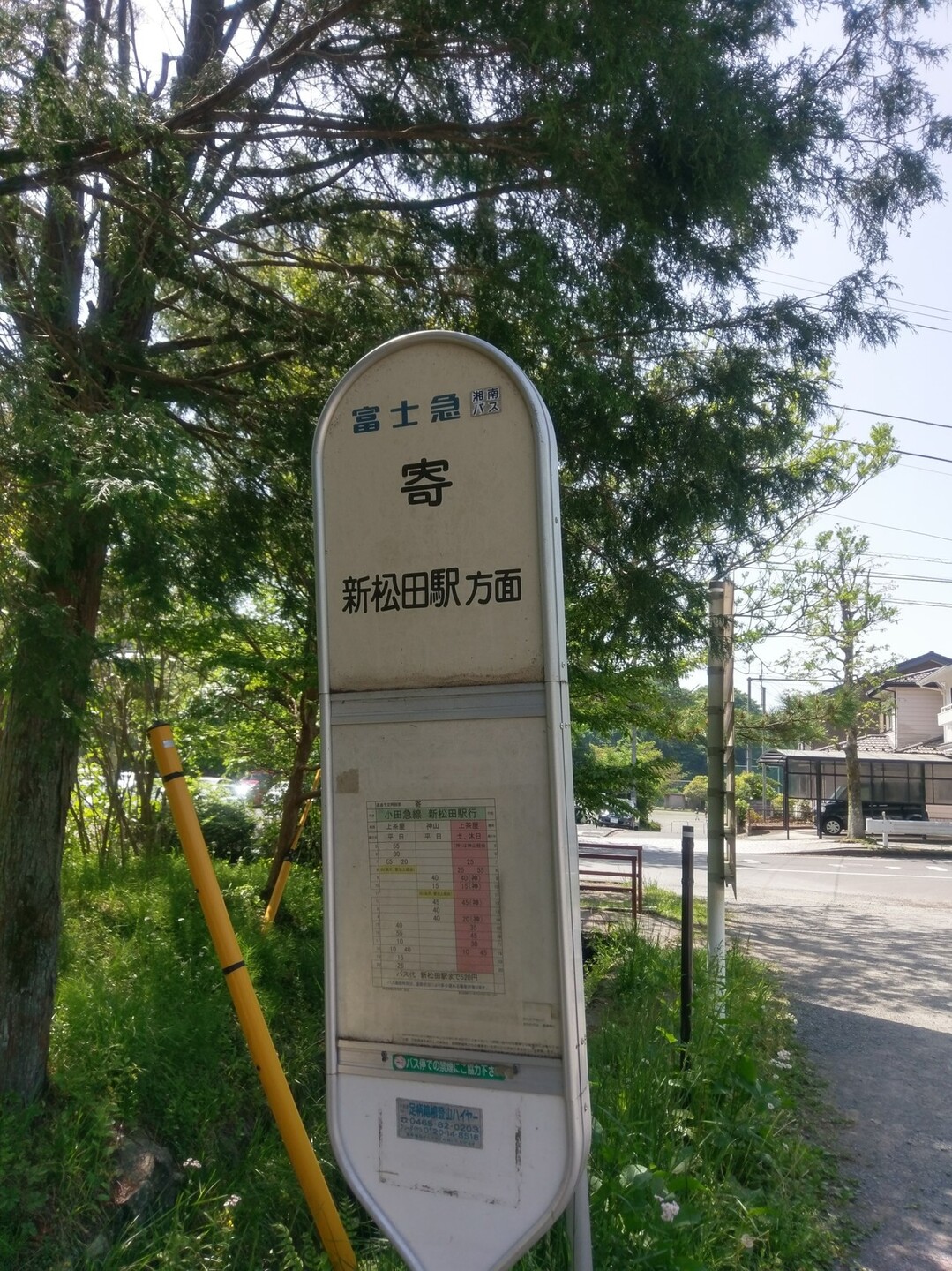 シダンゴ山 足馴らしハイキング / 高松山・大野山の写真1枚目 / ここからスタート | YAMAP / ヤマップ