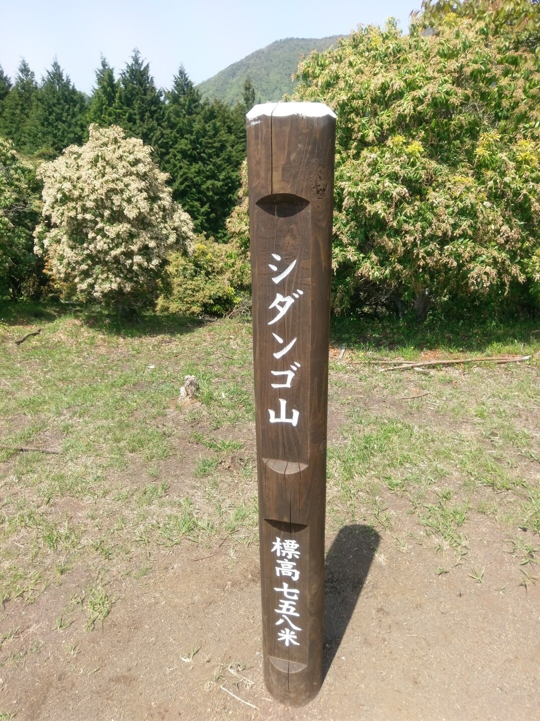 シダンゴ山 足馴らしハイキング / 高松山・大野山の写真5枚目 | YAMAP / ヤマップ