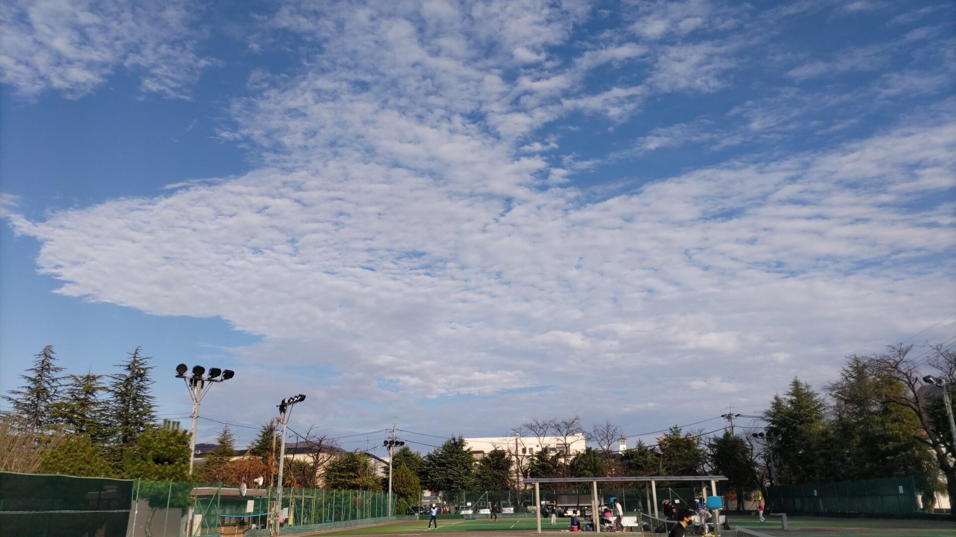 でっかいたい焼き？😋 / Nakachanさんのモーメント | YAMAP / ヤマップ