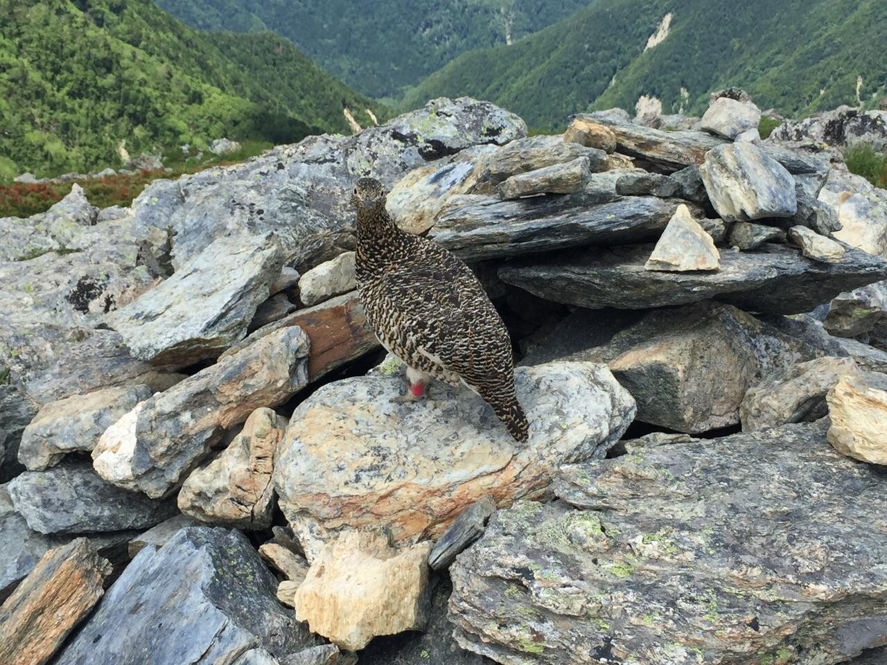 nagaのページ | YAMAP / ヤマップ