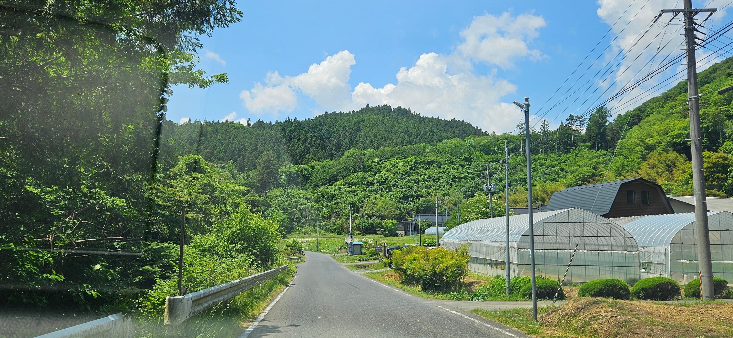 杉山 188m / ケンさんの伊豆沼・長沼の活動データ | YAMAP / ヤマップ