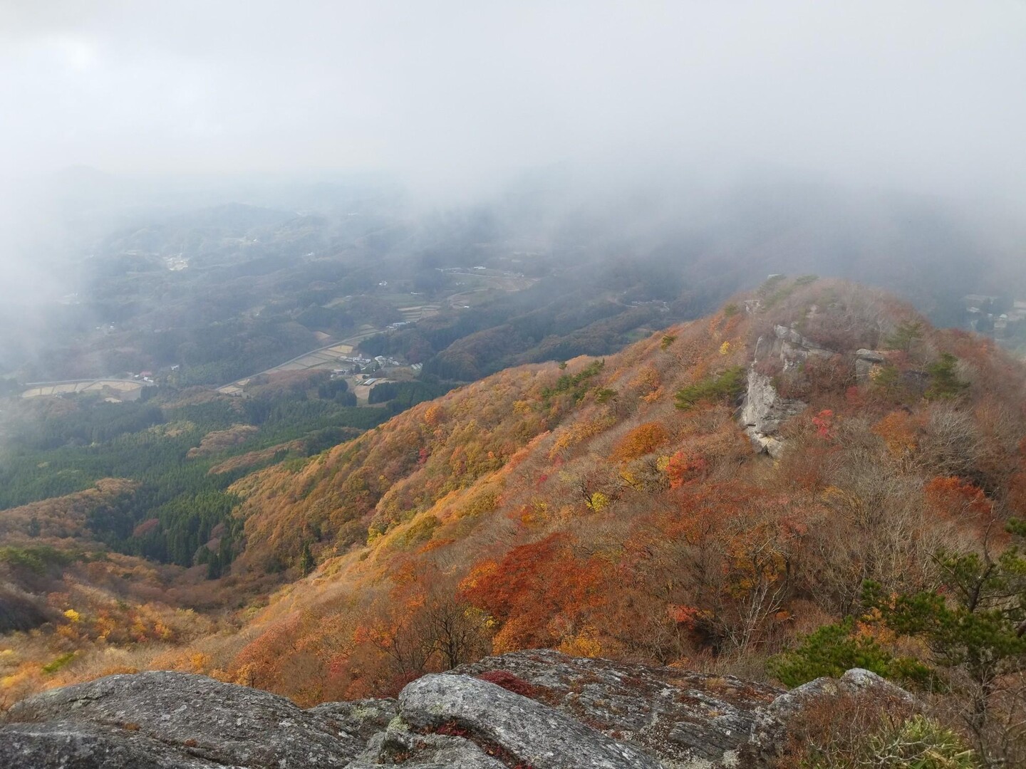 鎌倉岳 / 焼きみかんさんの鎌倉岳の活動データ | YAMAP / ヤマップ