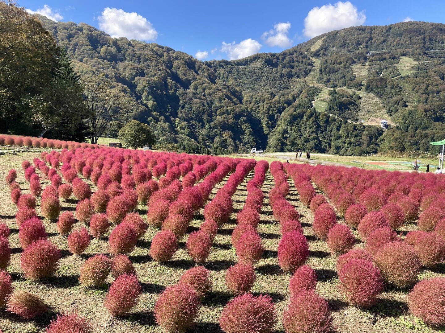 大峰 / aruさんの大峰・秋葉山・清津峡の活動データ | YAMAP / ヤマップ