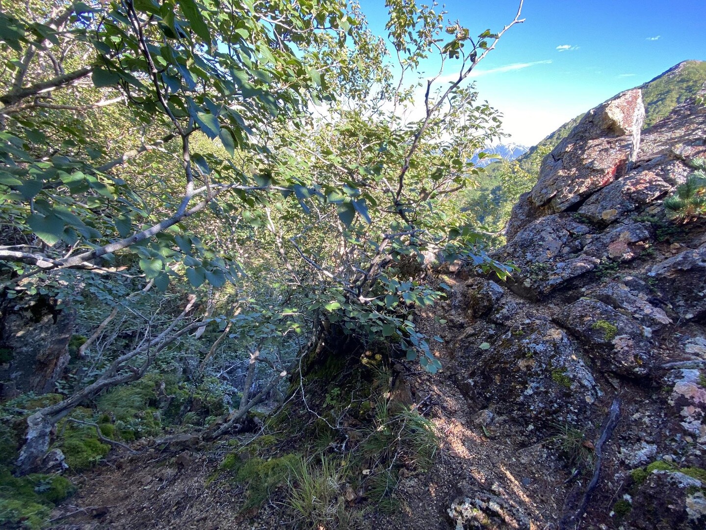 Hase100さんの投稿したフィールドメモ | YAMAP / ヤマップ