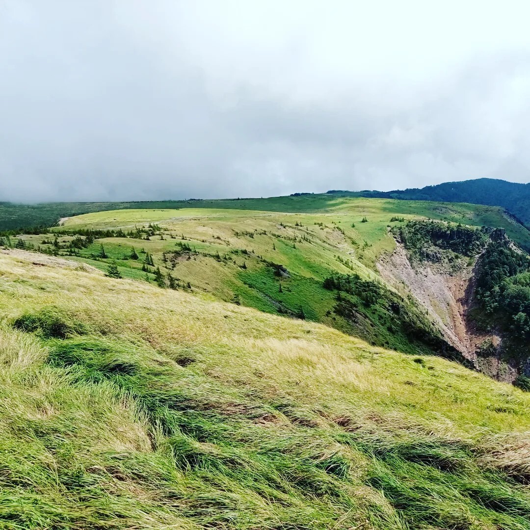 美ヶ原（王ヶ頭）・王ヶ鼻 / mdk.knzさんの美ヶ原の活動データ | YAMAP / ヤマップ