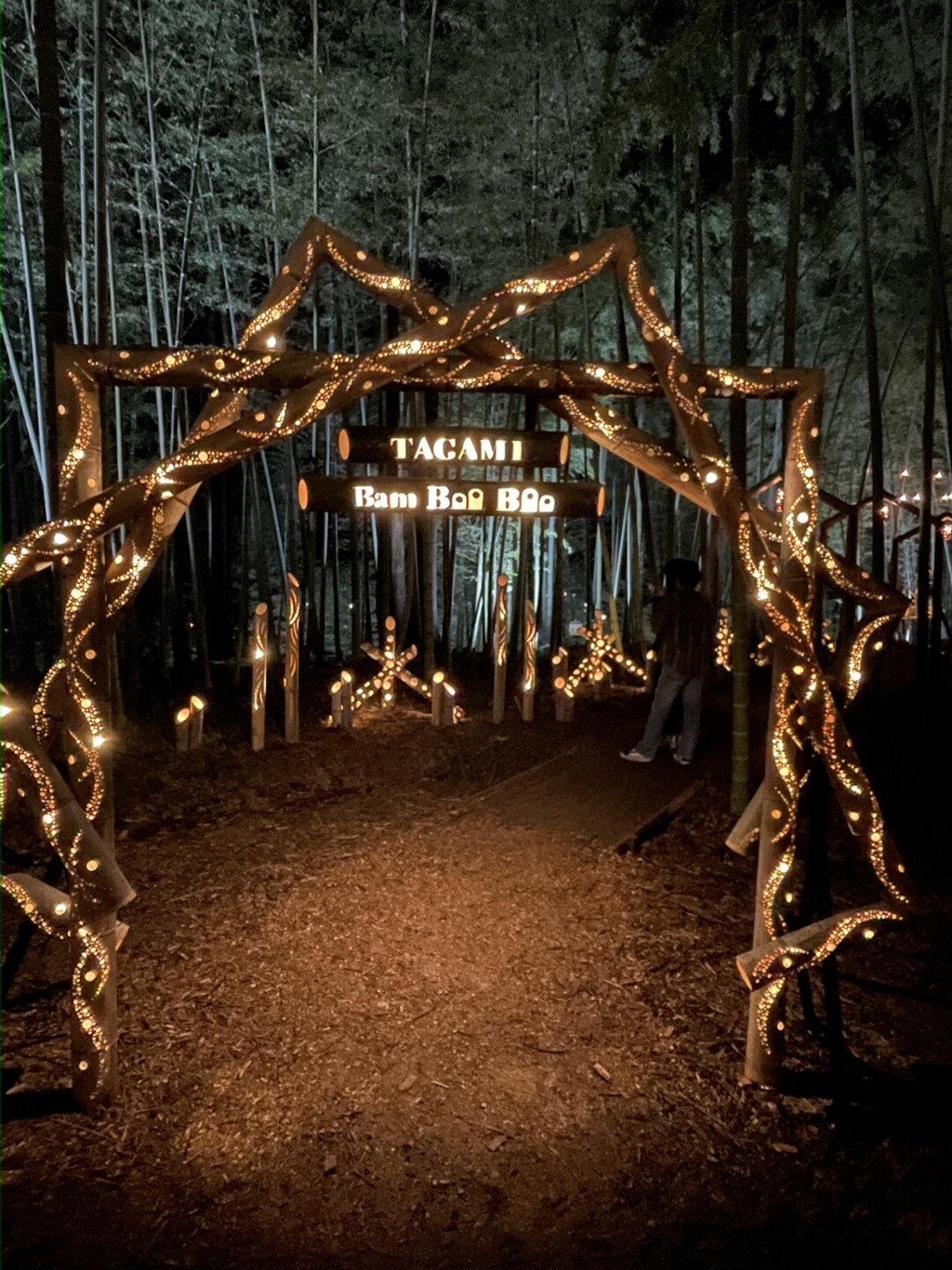 TAGAMI bam boo boo🎋... / あけたんさんのモーメント | YAMAP / ヤマップ