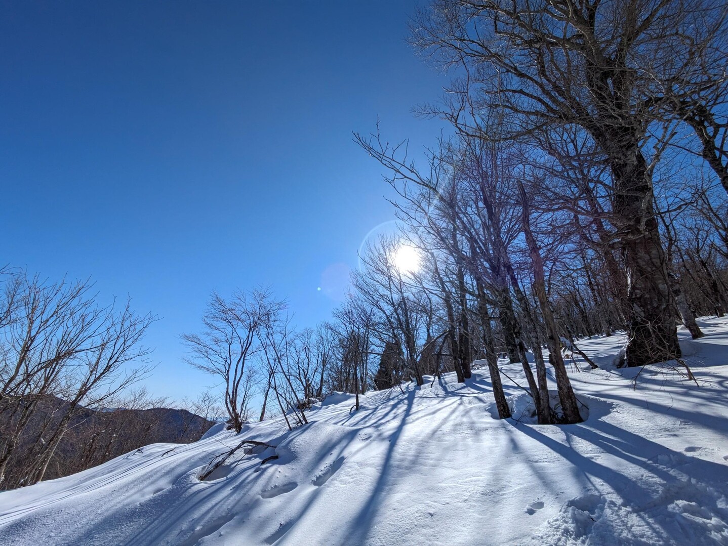 真っ白な恐羅漢山 / meru2209さんの恐羅漢山の活動データ | YAMAP / ヤマップ