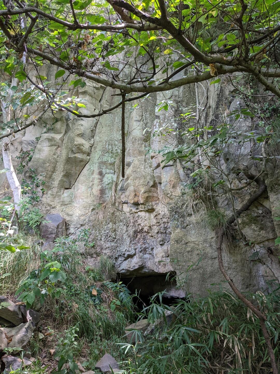 tkhsさんの投稿したフィールドメモ | YAMAP / ヤマップ