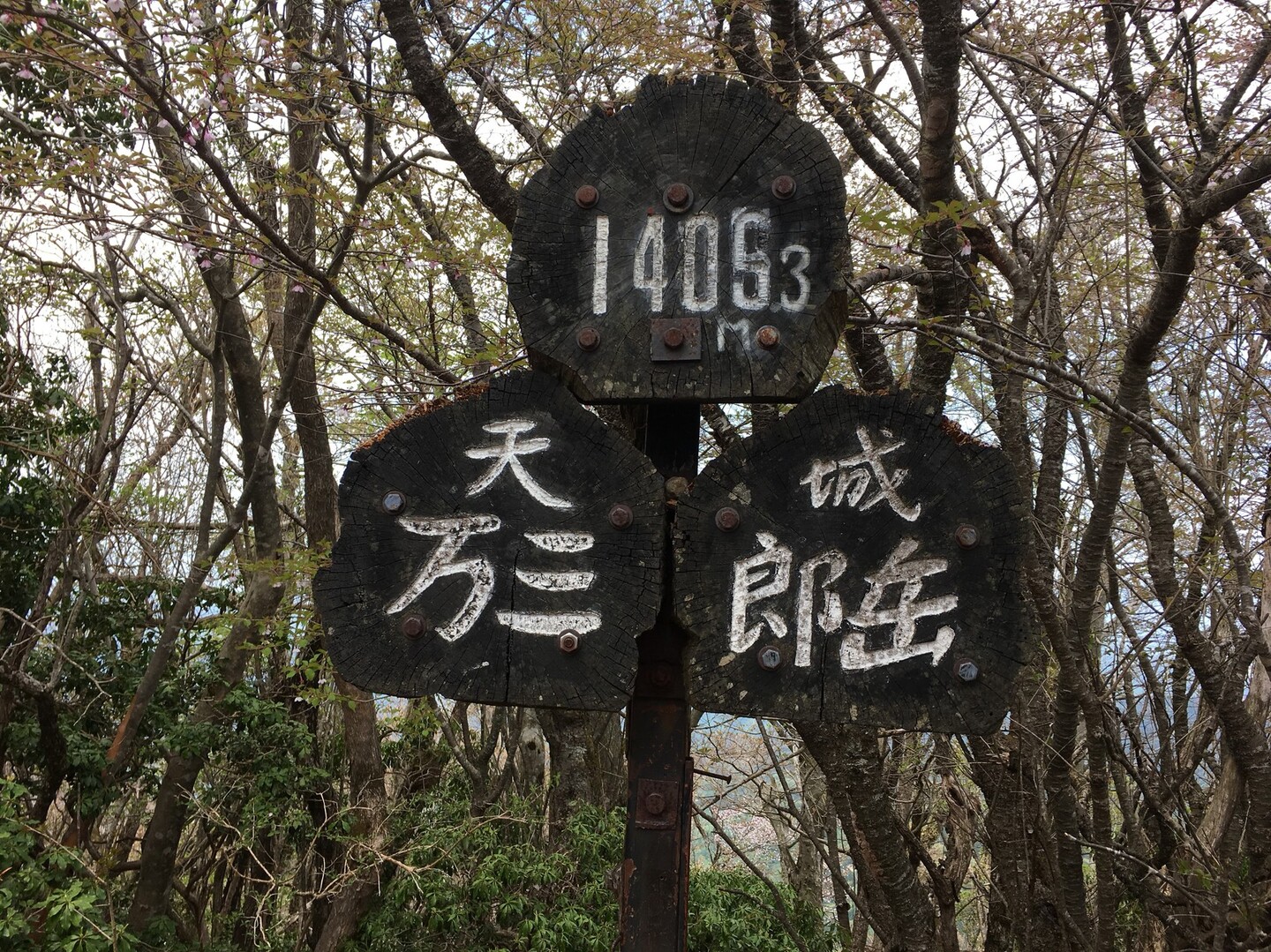 天城山 シャクナゲコース / ShizCさんの天城山・鉢ノ山・三筋山の活動データ | YAMAP / ヤマップ