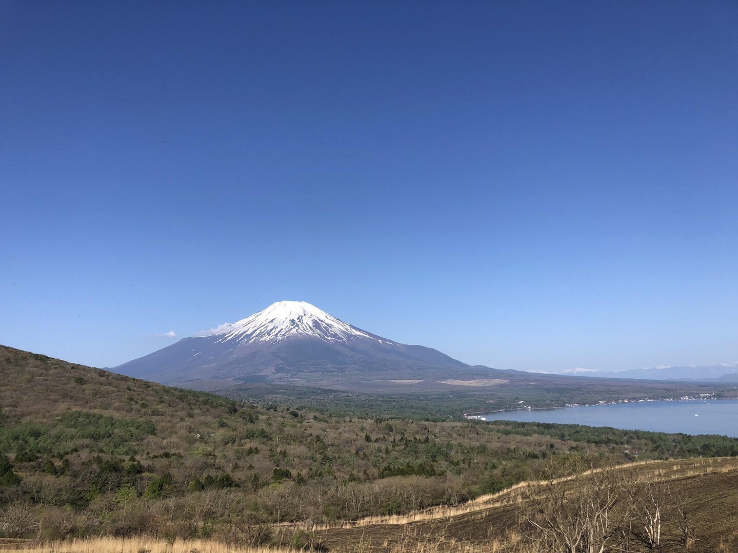山中湖 朝活②（鉢巻山） / kiyoさんの三国山の活動データ | YAMAP / ヤマップ