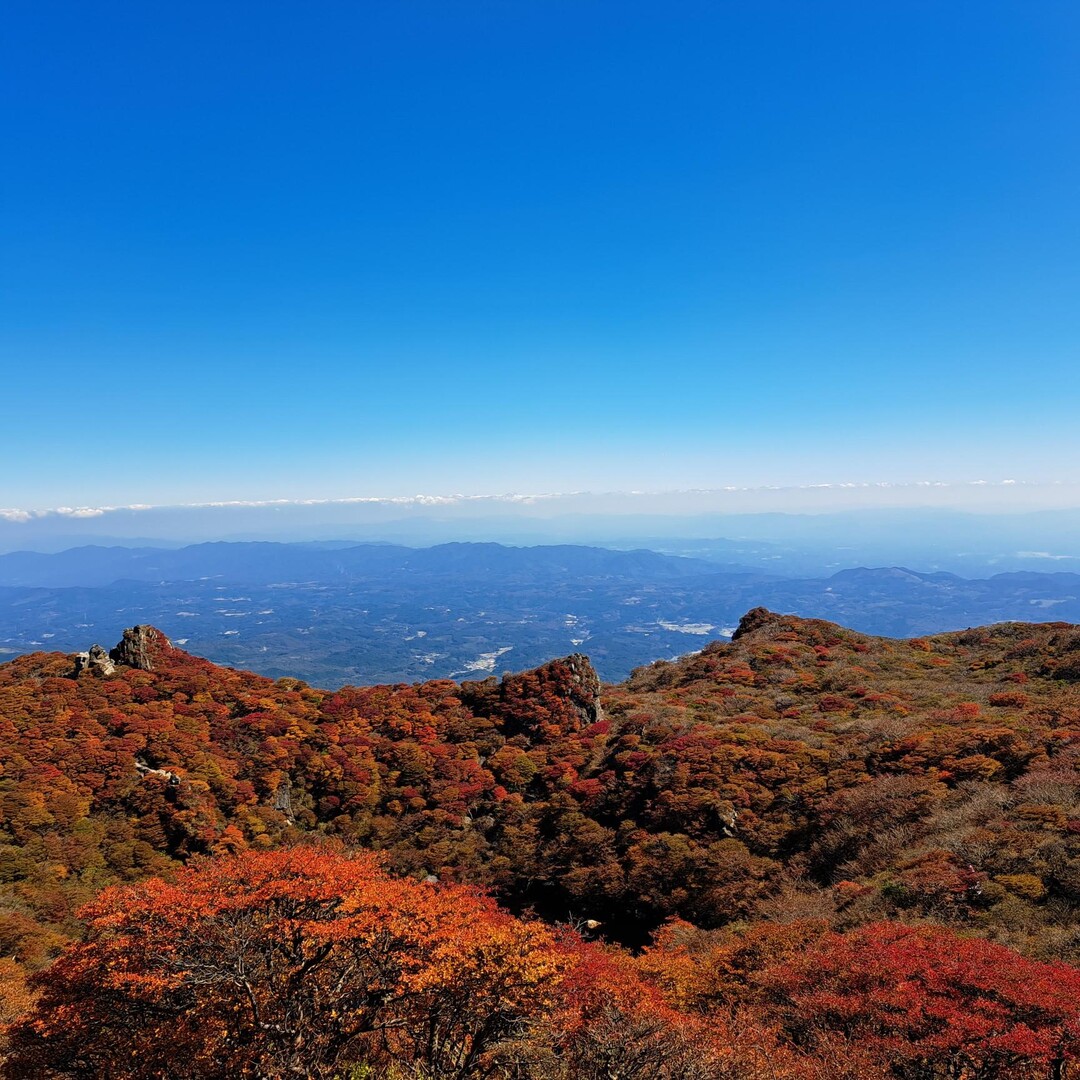 昨日‥穏やかな秋晴れの日に！ 大船山の紅... / 花さんのモーメント | YAMAP / ヤマップ