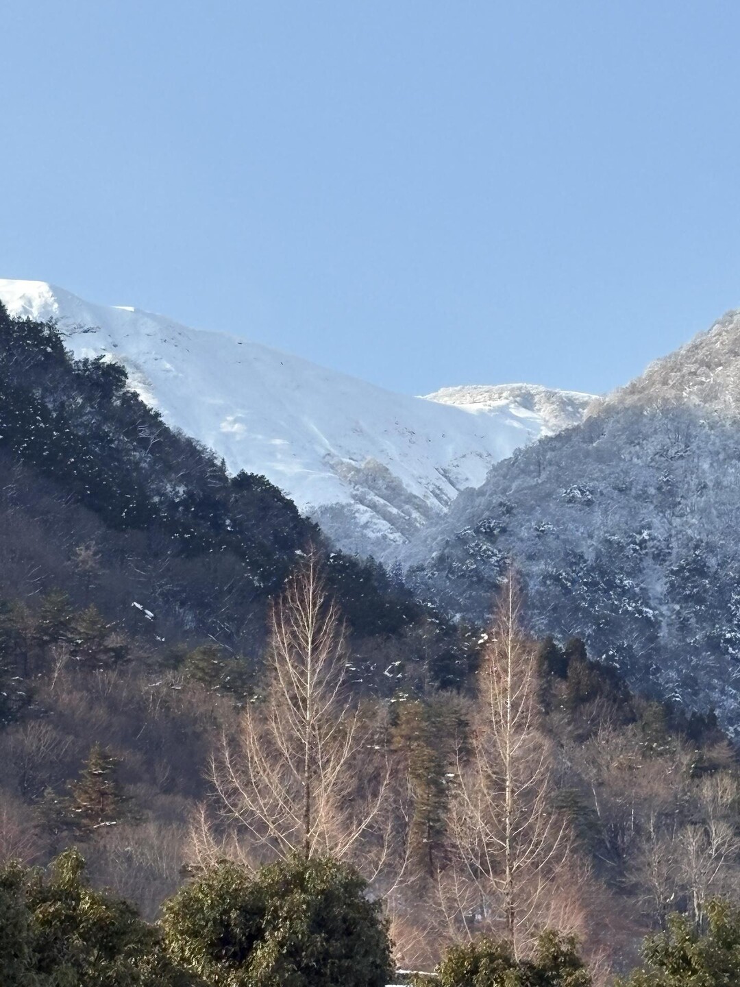 寒風スノーシューハイク（WAK例会） / カコさんの三国山・乗鞍岳・赤坂山の活動データ | YAMAP / ヤマップ