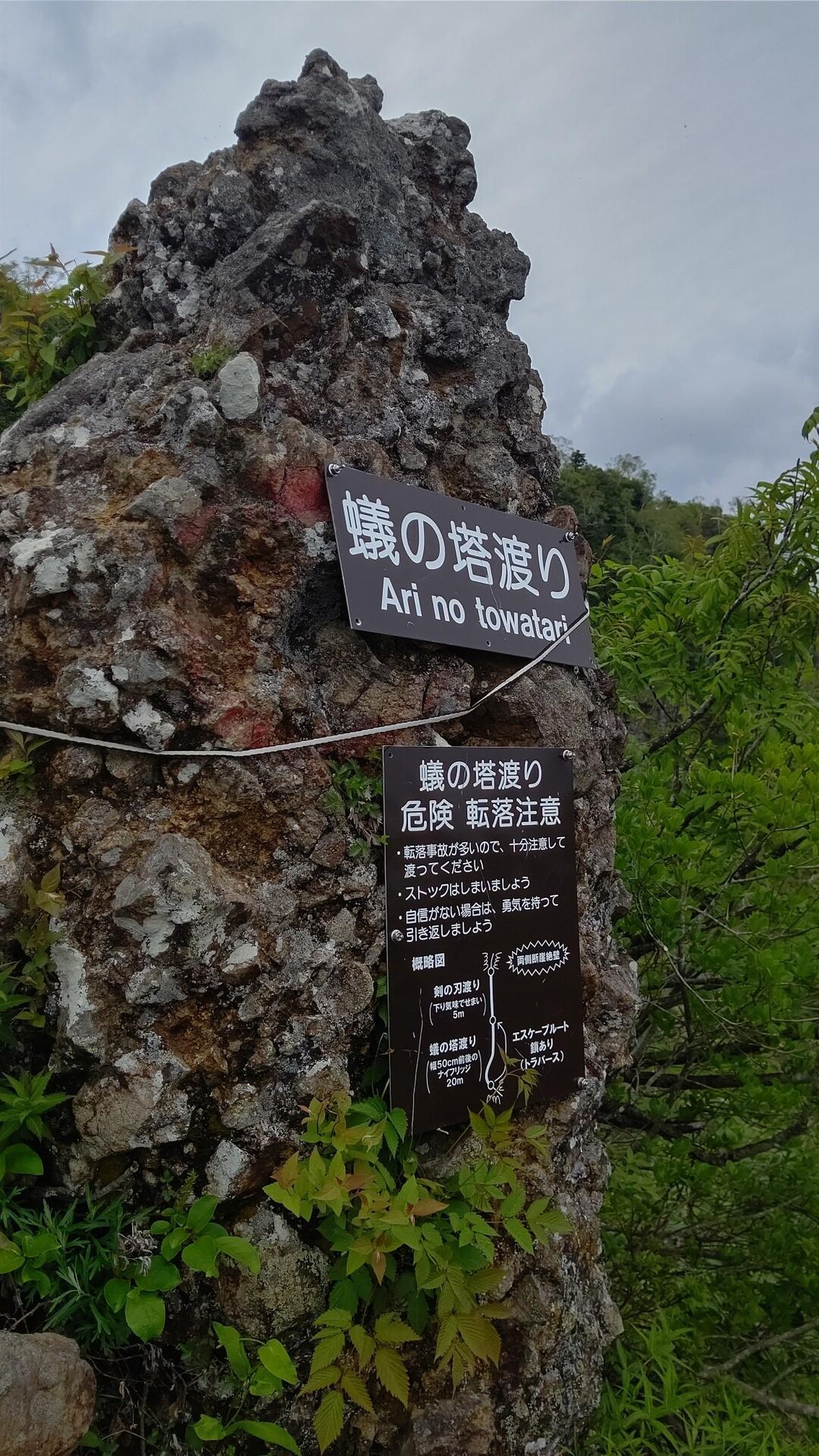戸隠山・八方睨(蟻の塔渡り🐜⛰️) / *yukapico**さんの高妻山・戸隠山の活動データ | YAMAP / ヤマップ