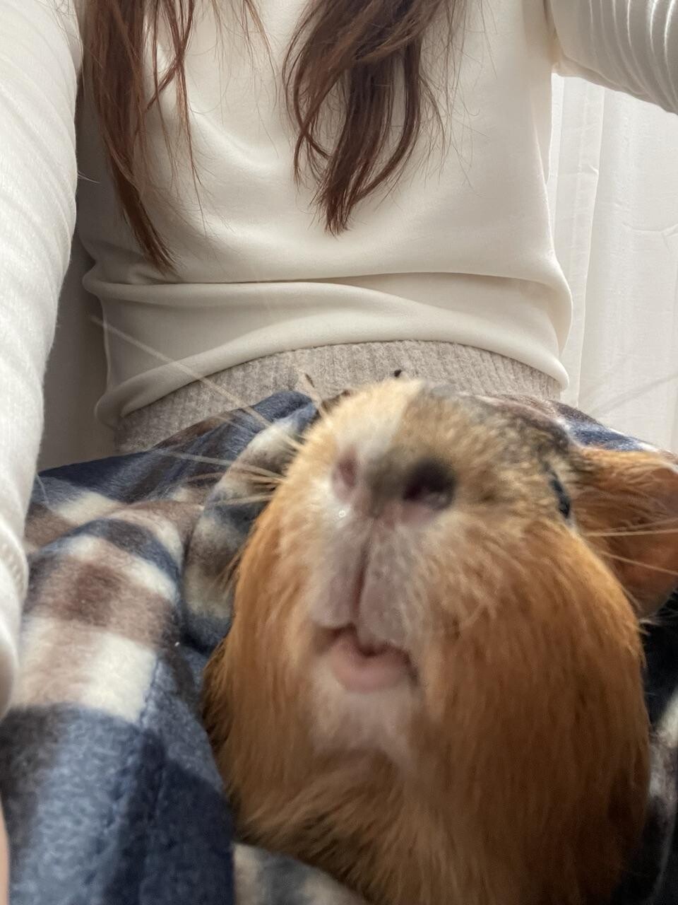 Cuernavaca🇲🇽のページ | YAMAP / ヤマップ