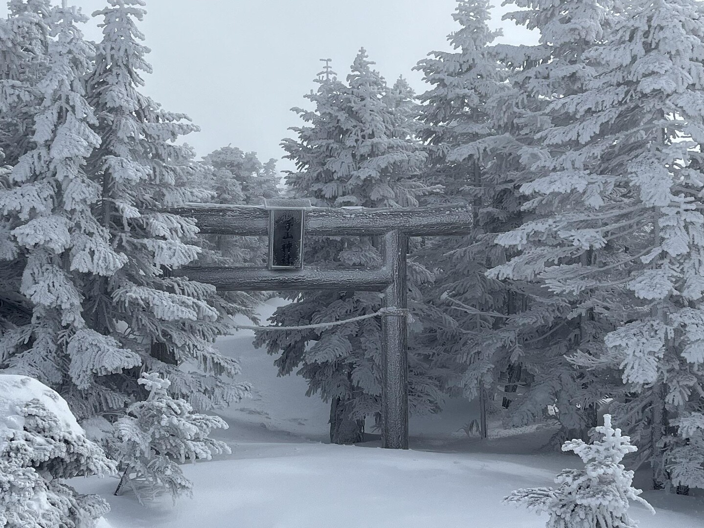 志賀高原 SKI 2 / クマさん'60さんのスキーの活動データ | YAMAP / ヤマップ