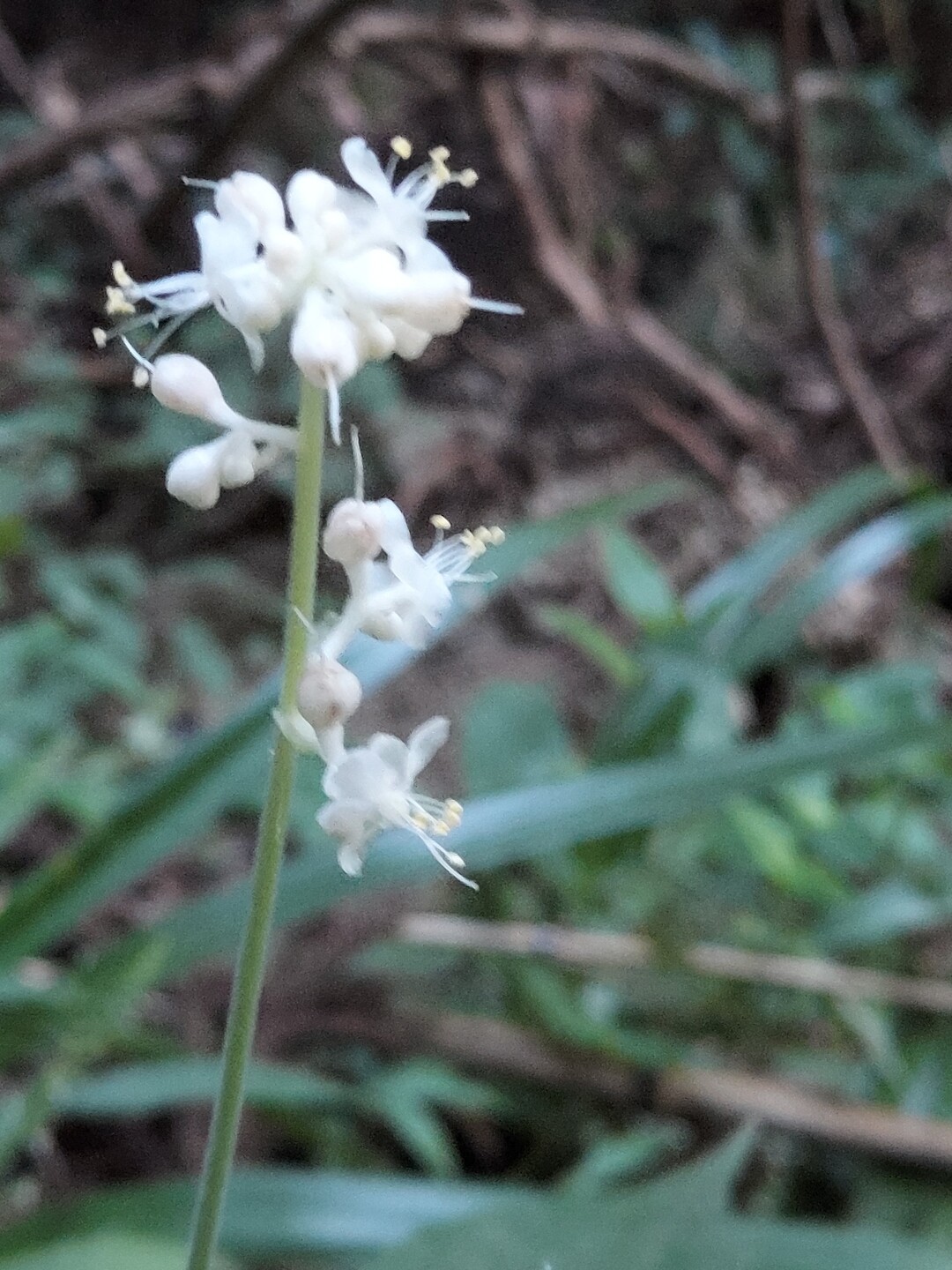 smileなかさんの投稿したフィールドメモ | YAMAP / ヤマップ