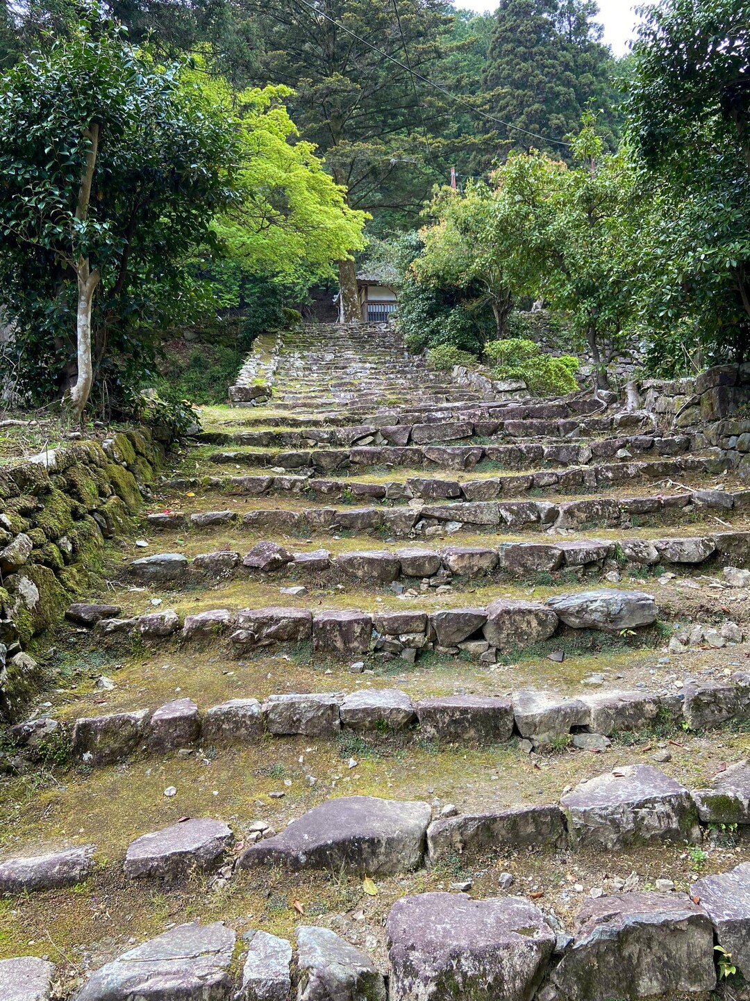 滋賀・坂本から京都・大原へ比叡山縦走：坂本・安楽律院・横川・仰木峠・大原 / deepさんの比叡山・横高山・梶山の活動データ | YAMAP / ヤマップ