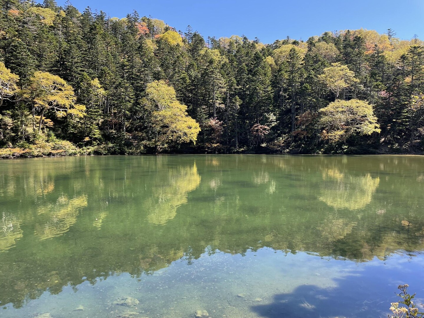 日光白根山・前白根山・五色山 / 山岳民族さんの日光白根山・五色山・錫ヶ岳の活動データ | YAMAP / ヤマップ