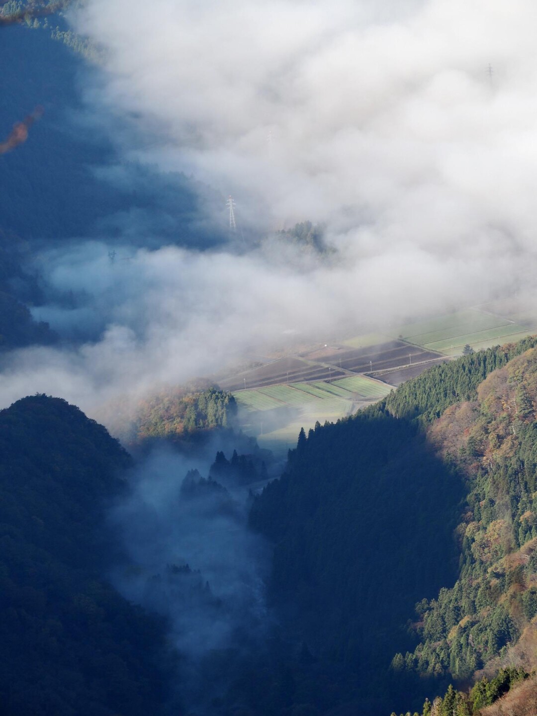 荒島岳(勝原登山口〜) / meguさんの荒島岳の活動データ | YAMAP / ヤマップ