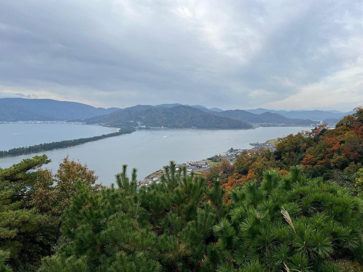 天橋立トレイル-2024-11-27 / ゆうさんさんの天橋立トレイルの活動日記 | YAMAP / ヤマップ