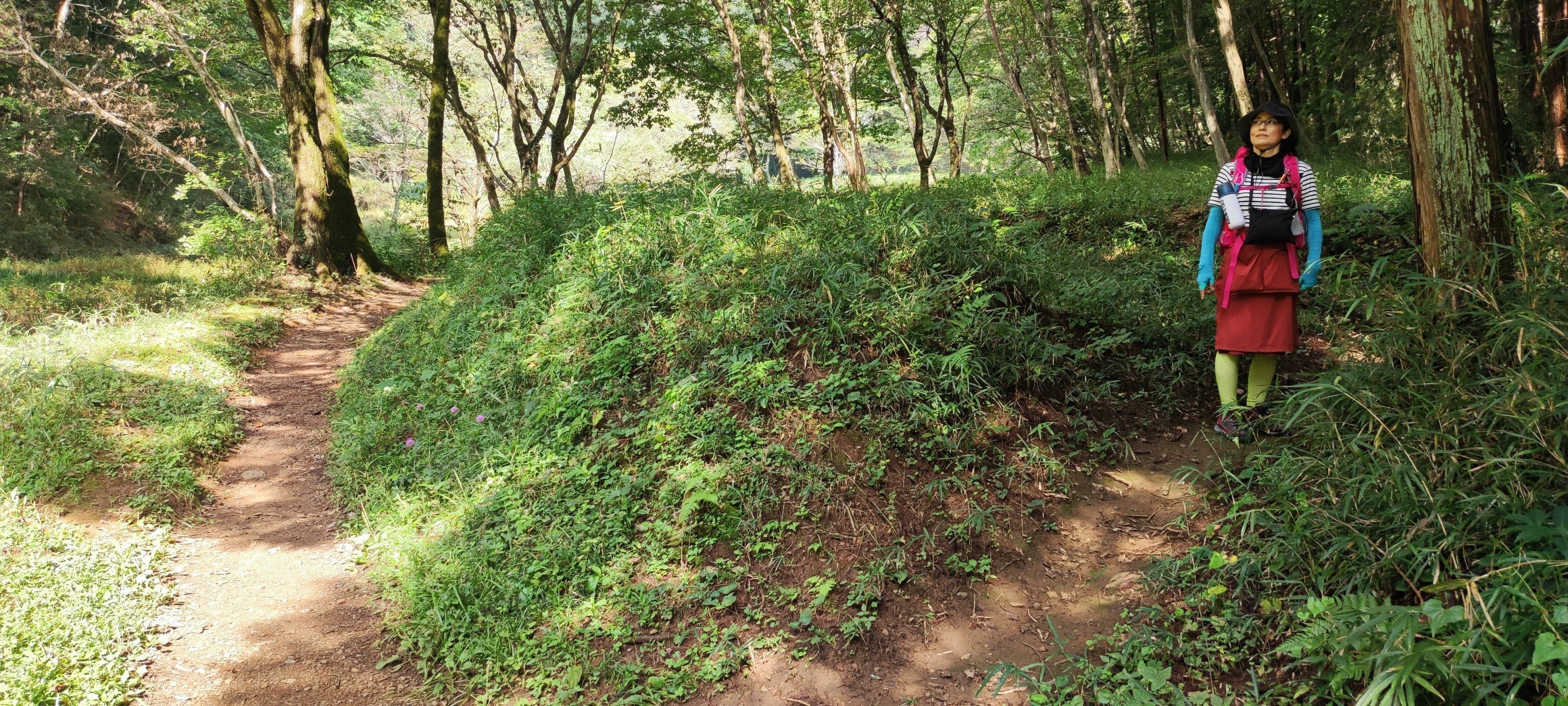 meさんの投稿したフィールドメモ | YAMAP / ヤマップ