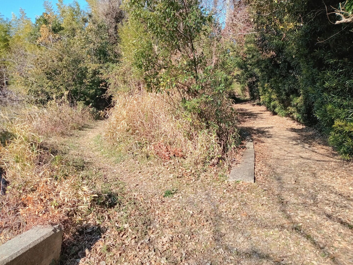 FREEDOMさんの投稿したフィールドメモ | YAMAP / ヤマップ