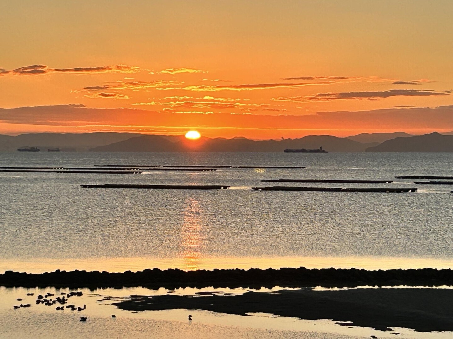 明けましておめでとうございます🎍 今年... / mika ⃘さんのモーメント | YAMAP / ヤマップ