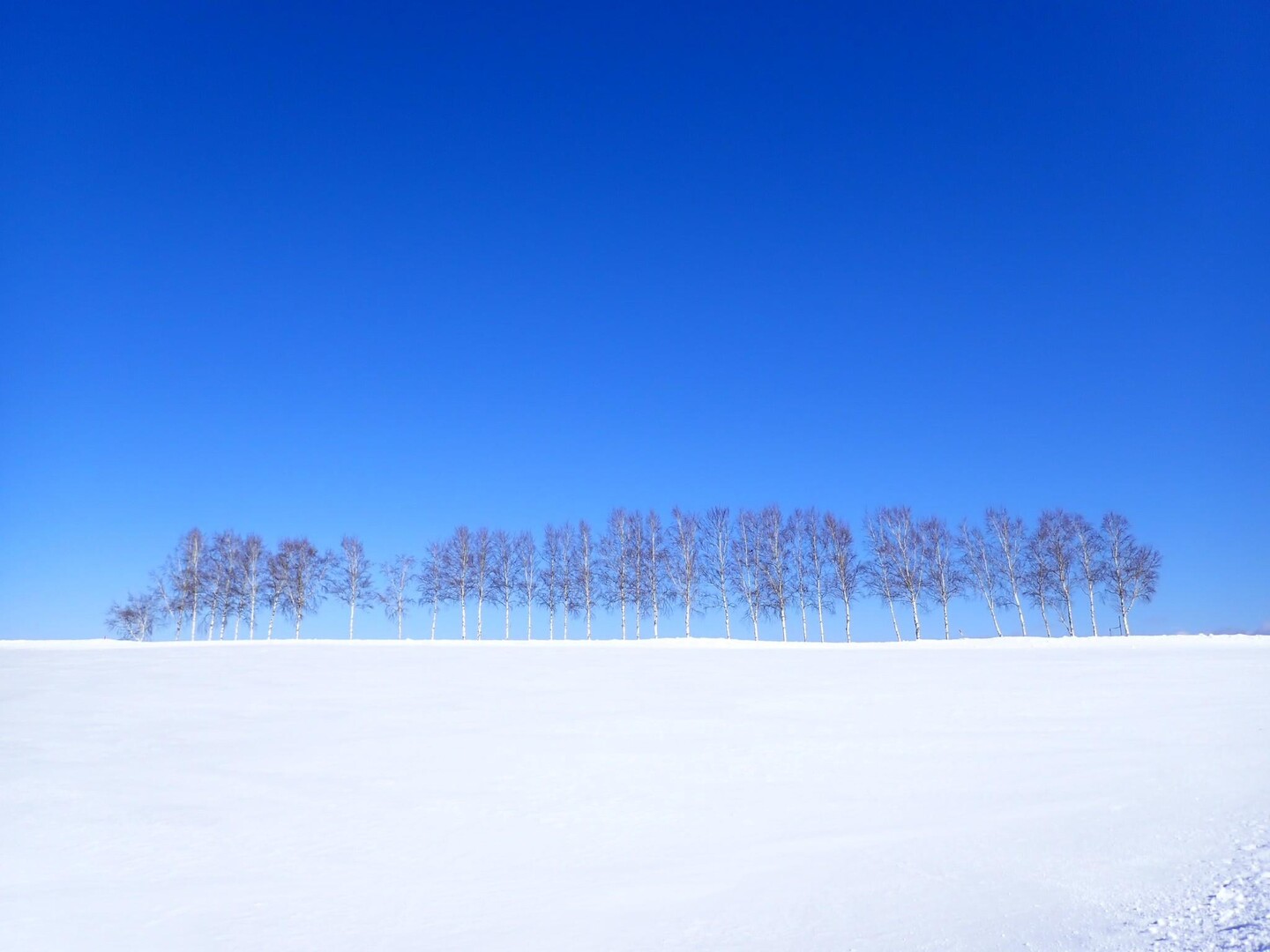 美瑛の丘巡り(北海道)-2023-02-15 / MHさんのハイキングの活動データ | YAMAP / ヤマップ