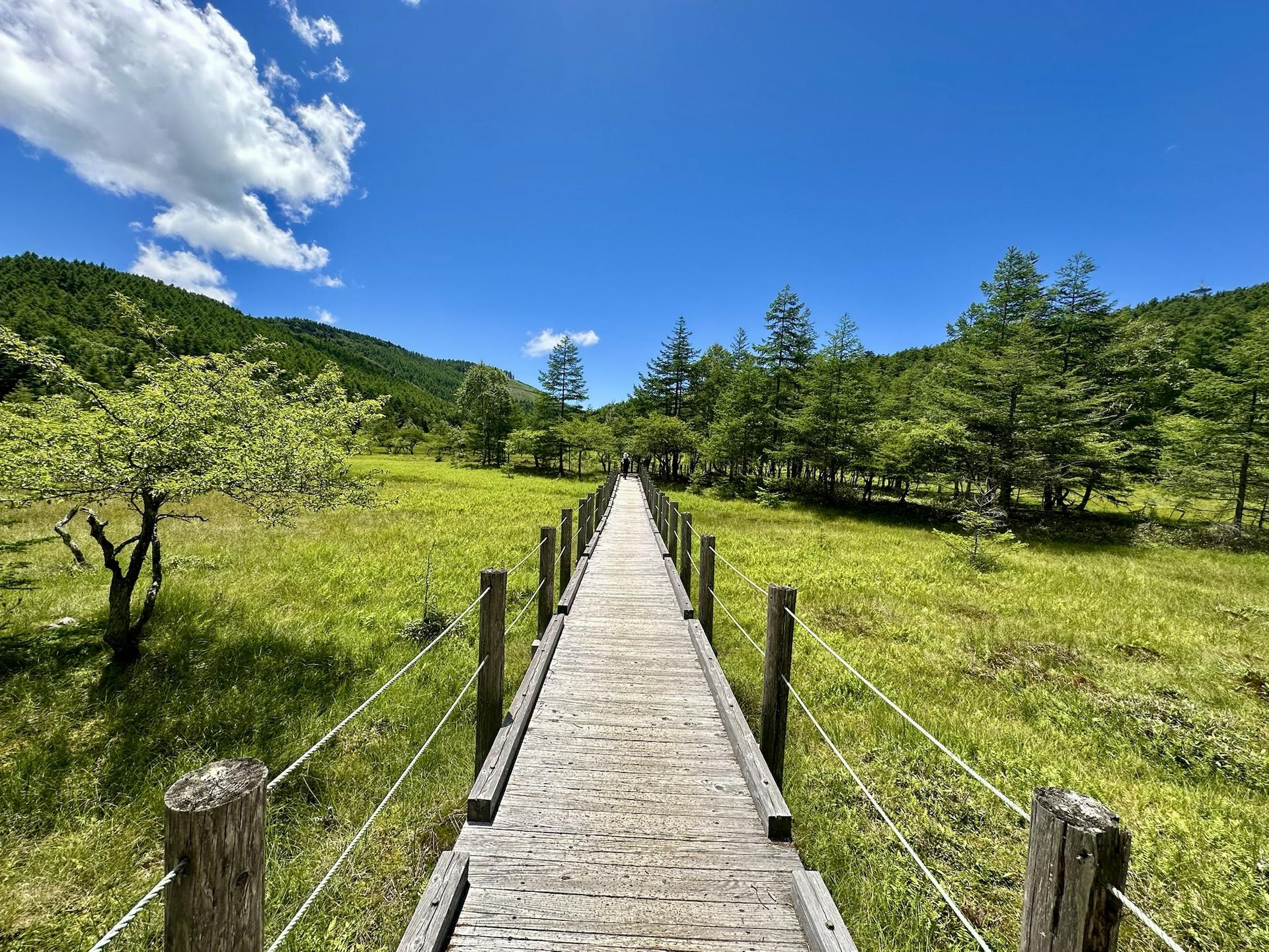 アカノラ山・入笠山 / Amyさんの入笠山の活動データ | YAMAP / ヤマップ