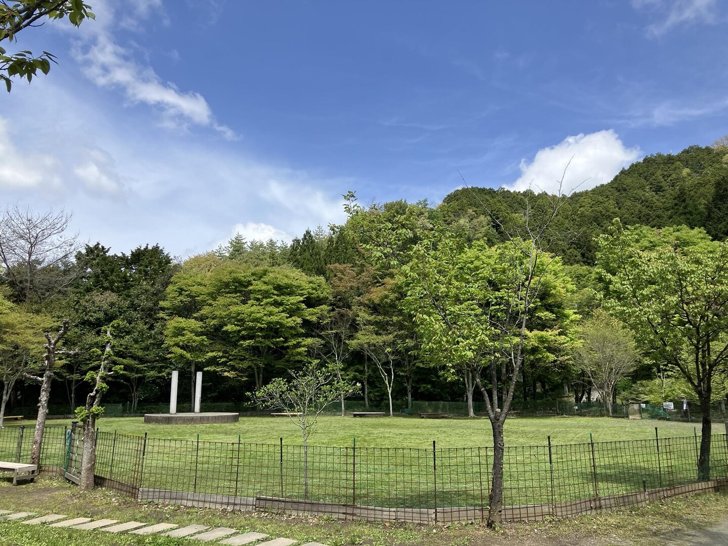 槇尾山 グリーンランド〜施福寺 / SEIさんのモーメント | YAMAP / ヤマップ