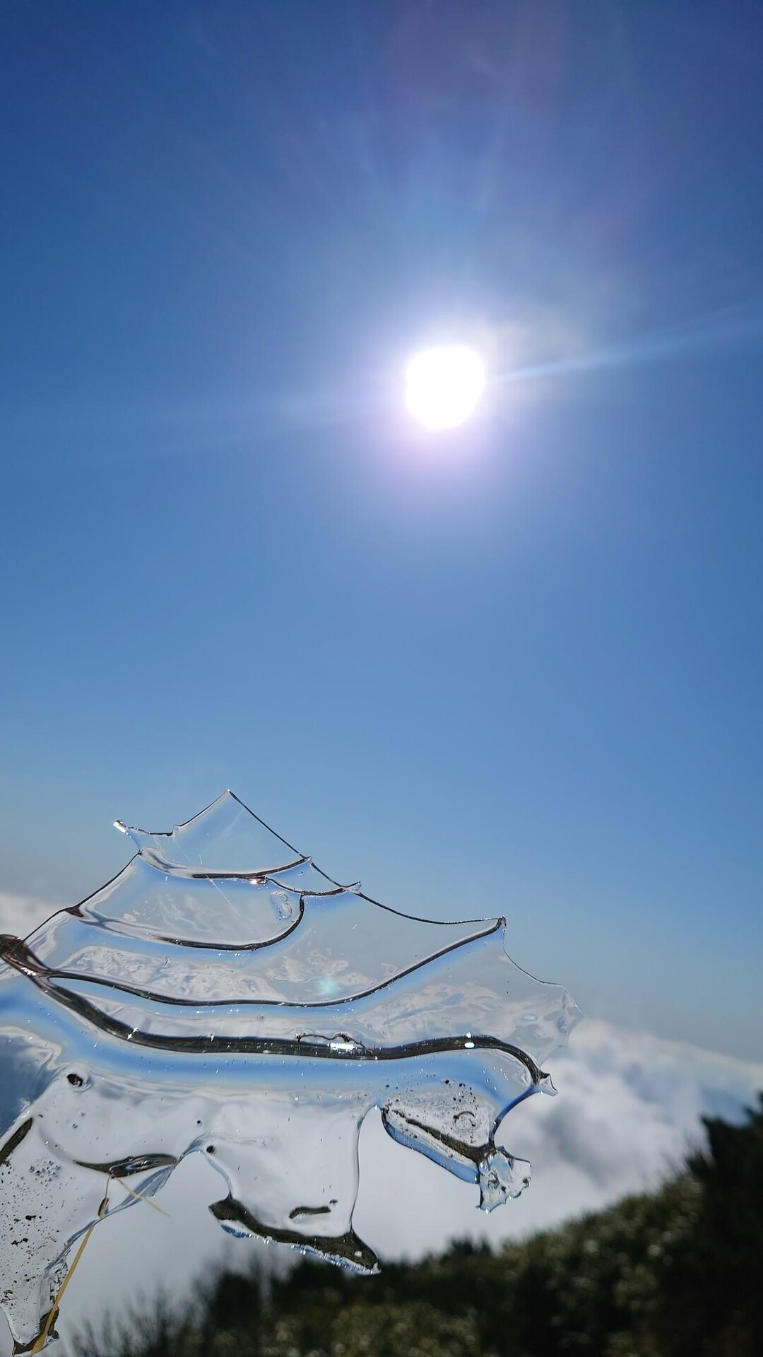 羊蹄山～喜茂別 / makyさんの羊蹄山（蝦夷富士）の活動データ | YAMAP / ヤマップ