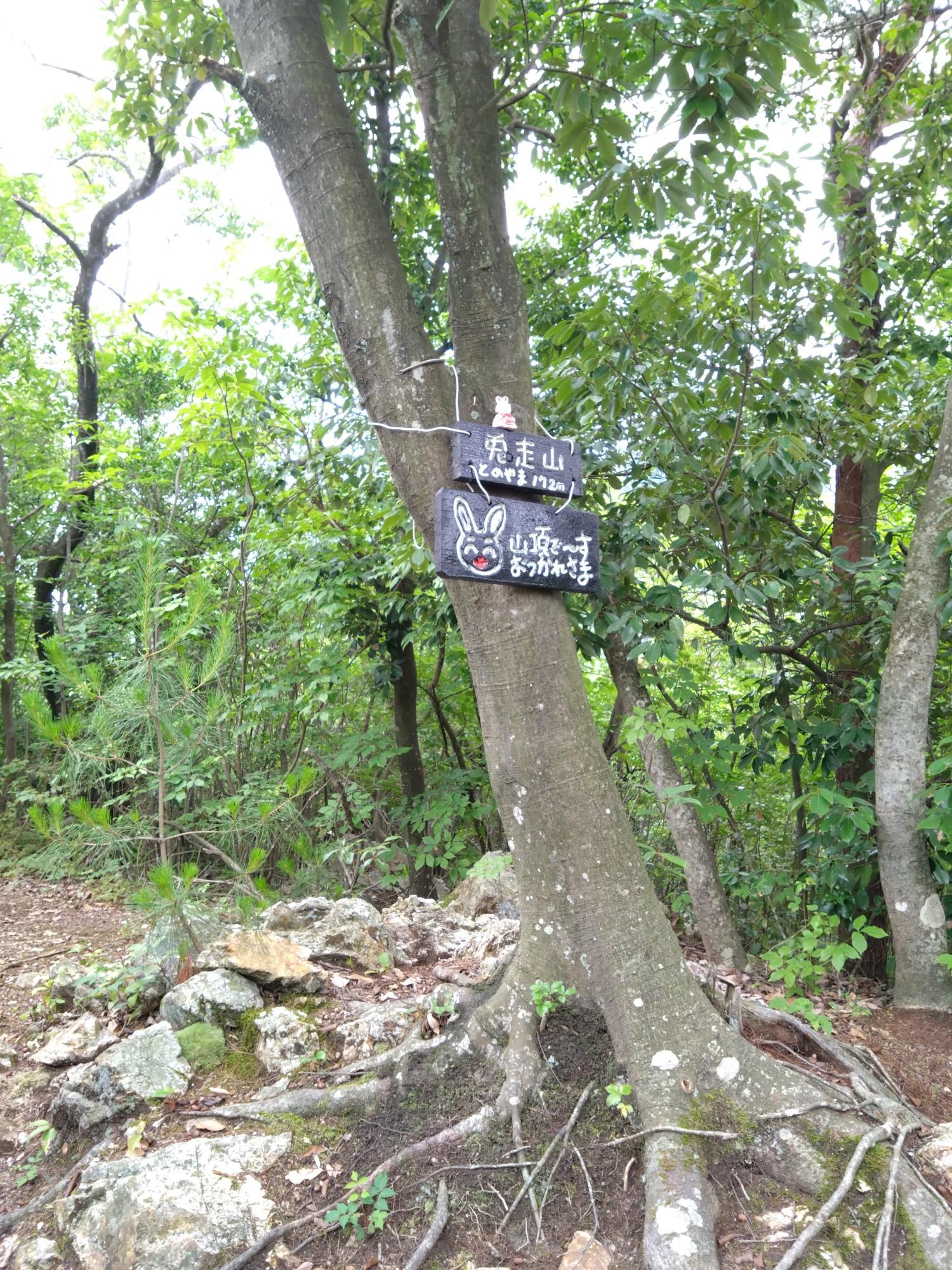 兎走山 岩田山-2023-06-18 / macharuさんの金華山・洞山・舟伏山の活動データ | YAMAP / ヤマップ