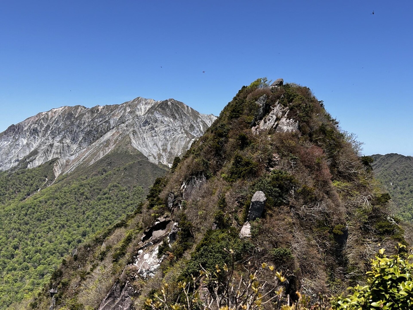 烏ヶ山 / idasさんの烏ヶ山・象山（笹ヶ峰）の活動データ | YAMAP / ヤマップ