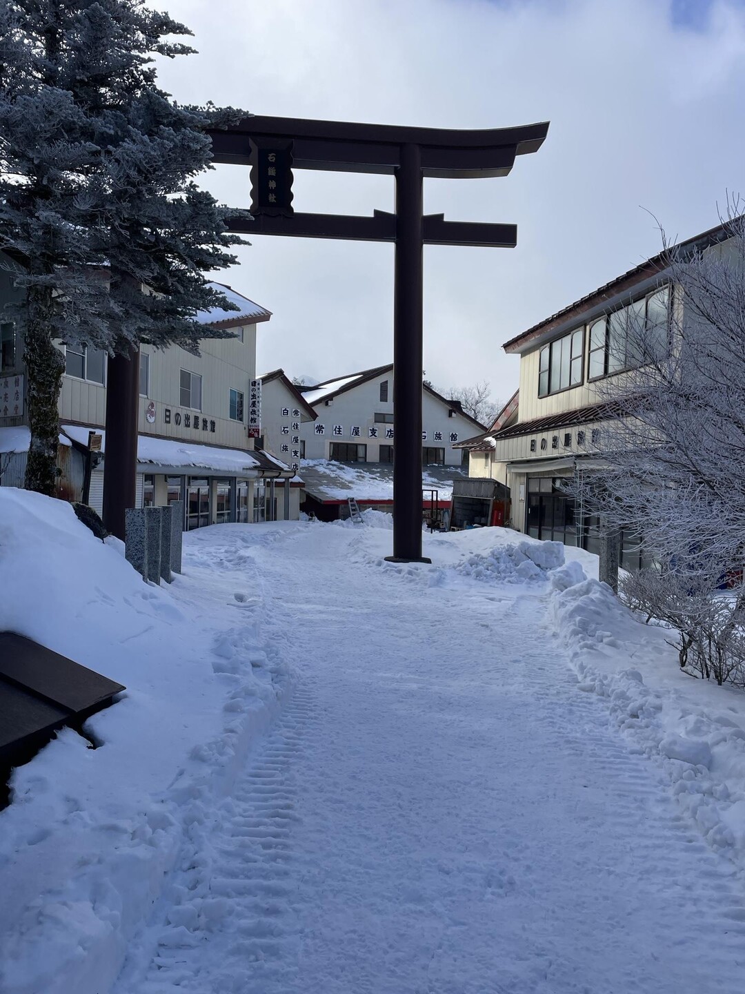 前社ヶ森・剣山・石鎚山 / SINO.さんの石鎚山・堂ヶ森・二ノ森の活動日記 | YAMAP / ヤマップ
