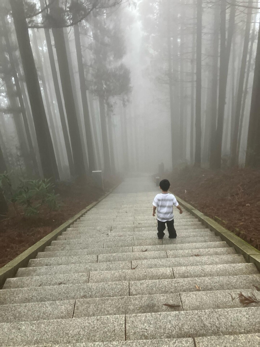 熊本県 日本一石段3333段 2024-11-17 / @shun 1さんのウォーキングの活動データ | YAMAP / ヤマップ