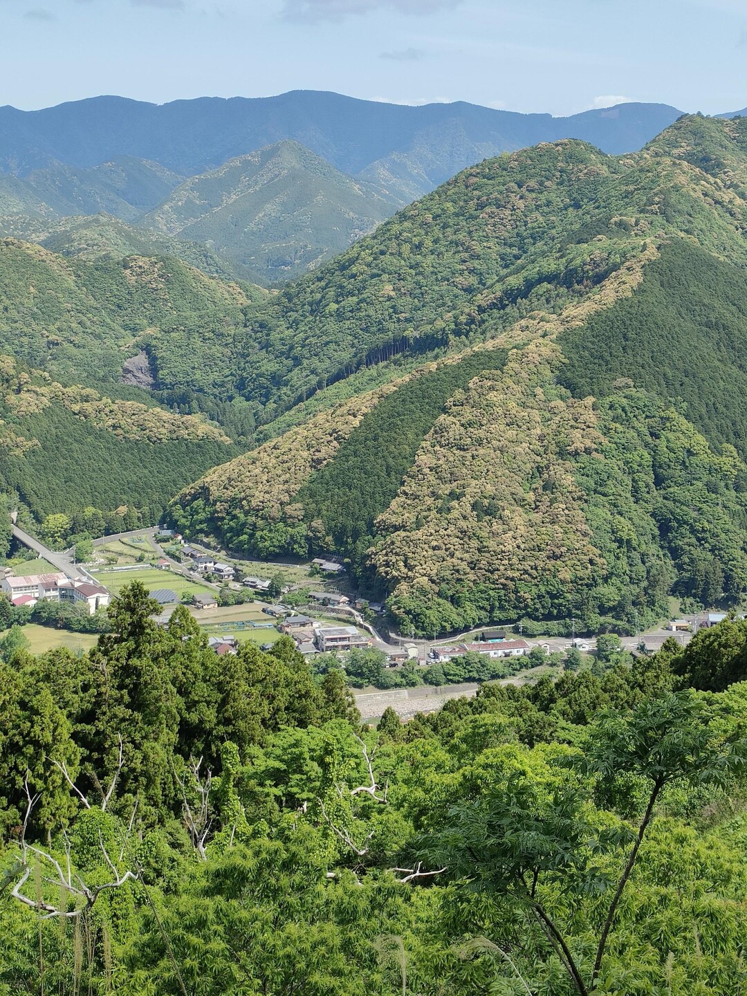 中辺路 滝尻から牛馬 / きりHPさんの熊野古道 中辺路①（紀伊田辺駅〜熊野本宮大社）の活動データ | YAMAP / ヤマップ