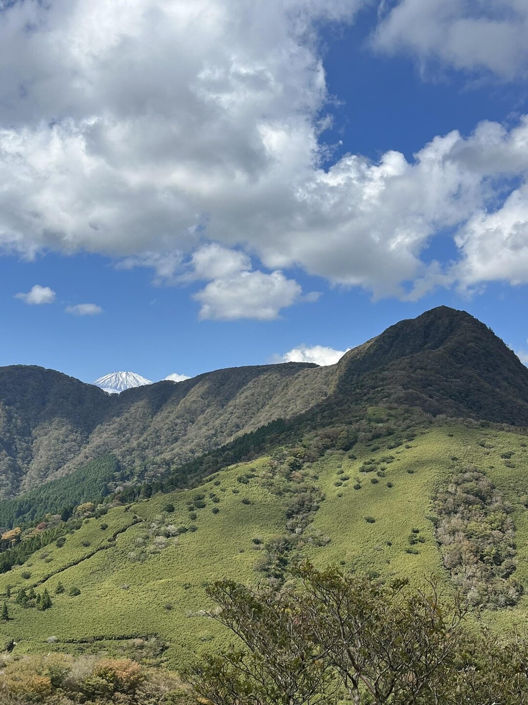 金時山・火打石山・明神ヶ岳 / G.Loveさんの金時山・明神ヶ岳の活動データ | YAMAP / ヤマップ